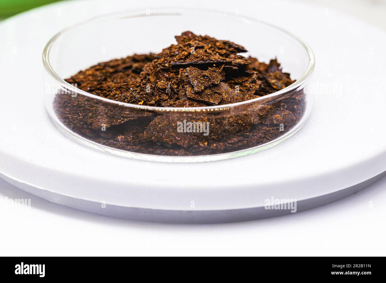 rusty metal, fragments of metal being corroded, in a petri dish ...