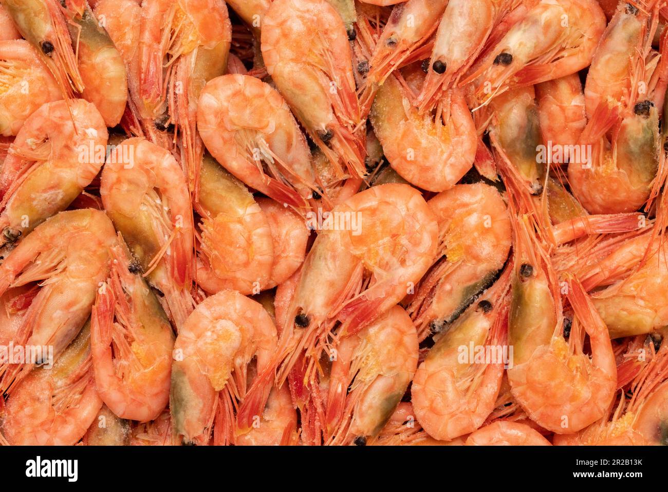 Shrimps, prawn, crustaceans at a fish market. Shrimps background ...