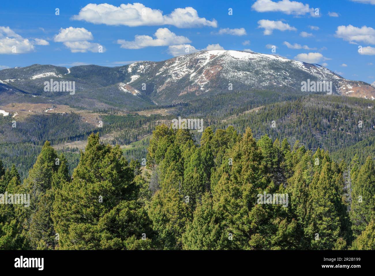 red mountain in helena national forest near rimini, montana Stock Photo ...