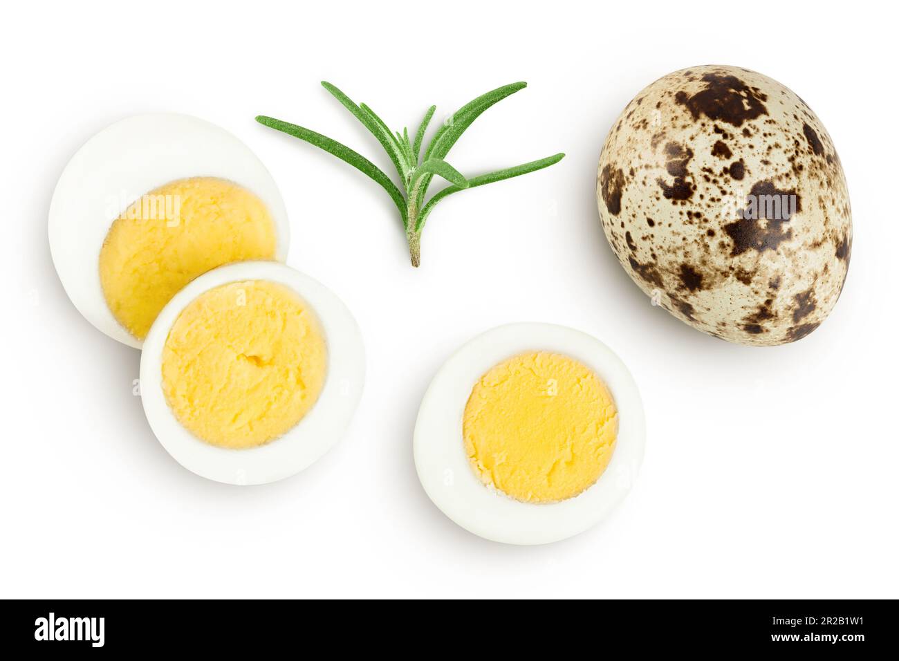 boiled quail egg isolated on white background with full depth of field ...