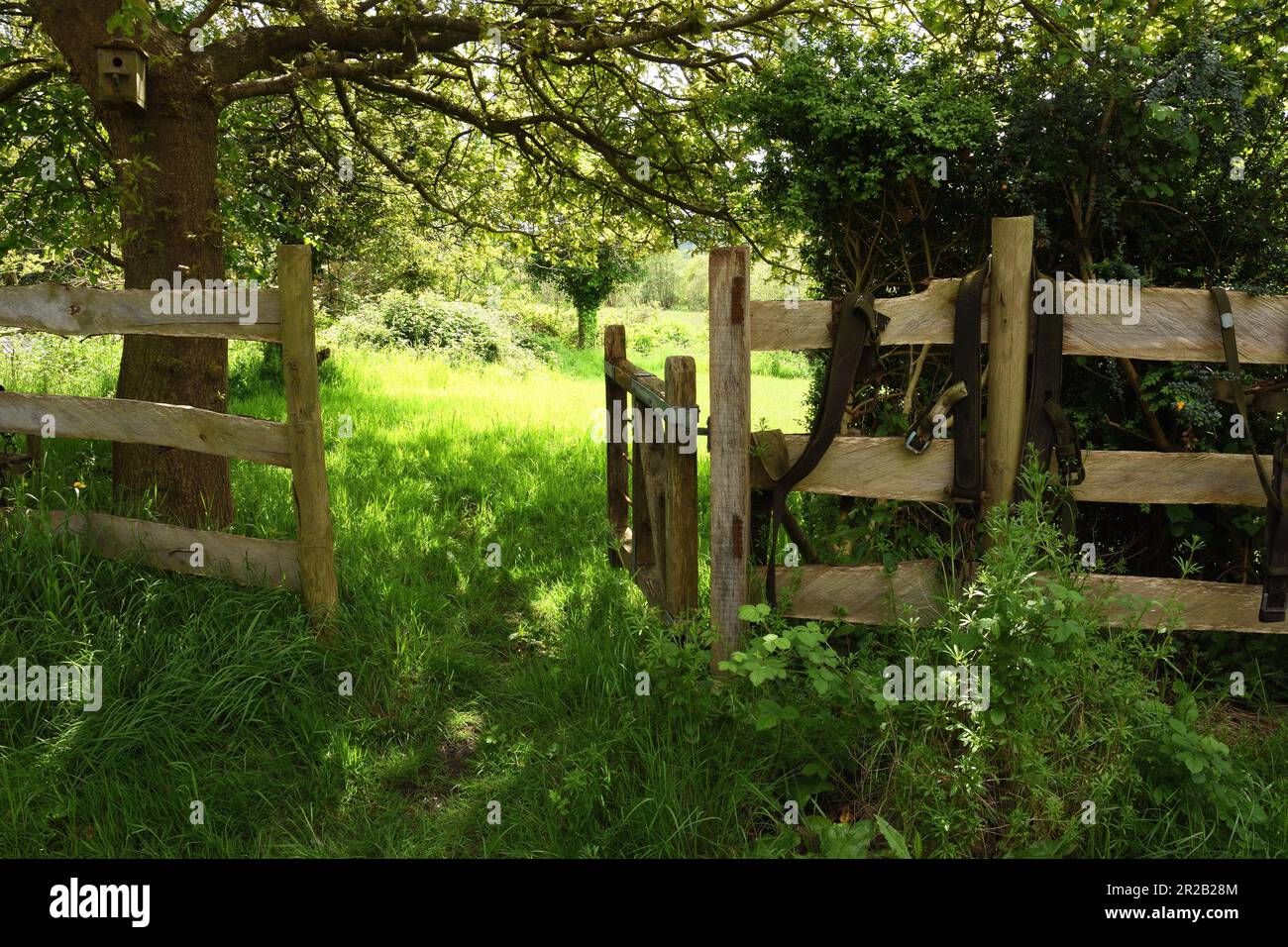 Open farm gate leading to the green meadow Stock Photo - Alamy