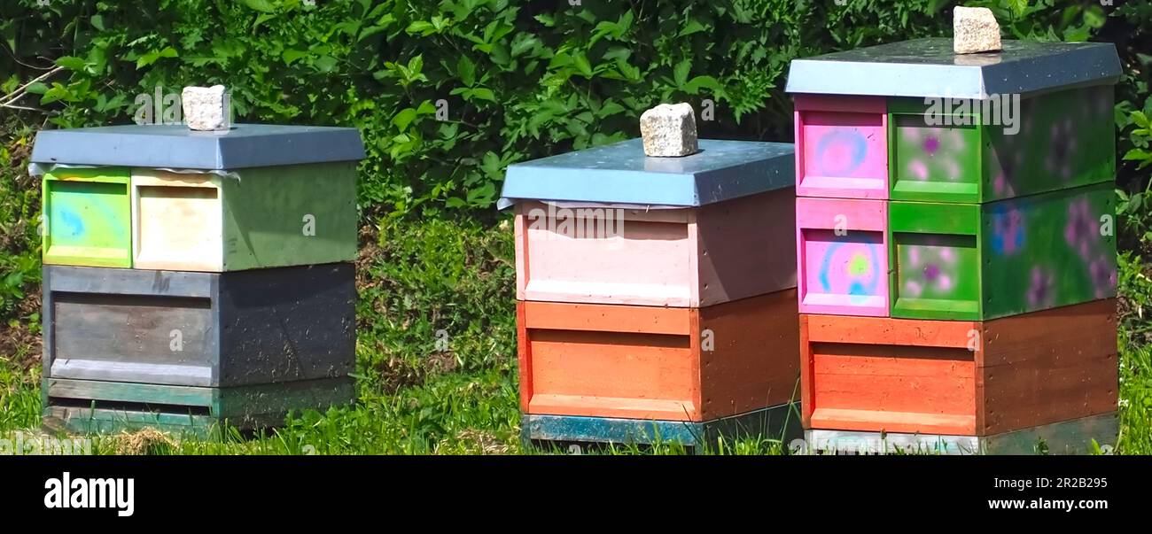 Colorful beehives on a meadow for honey bees Stock Photo - Alamy