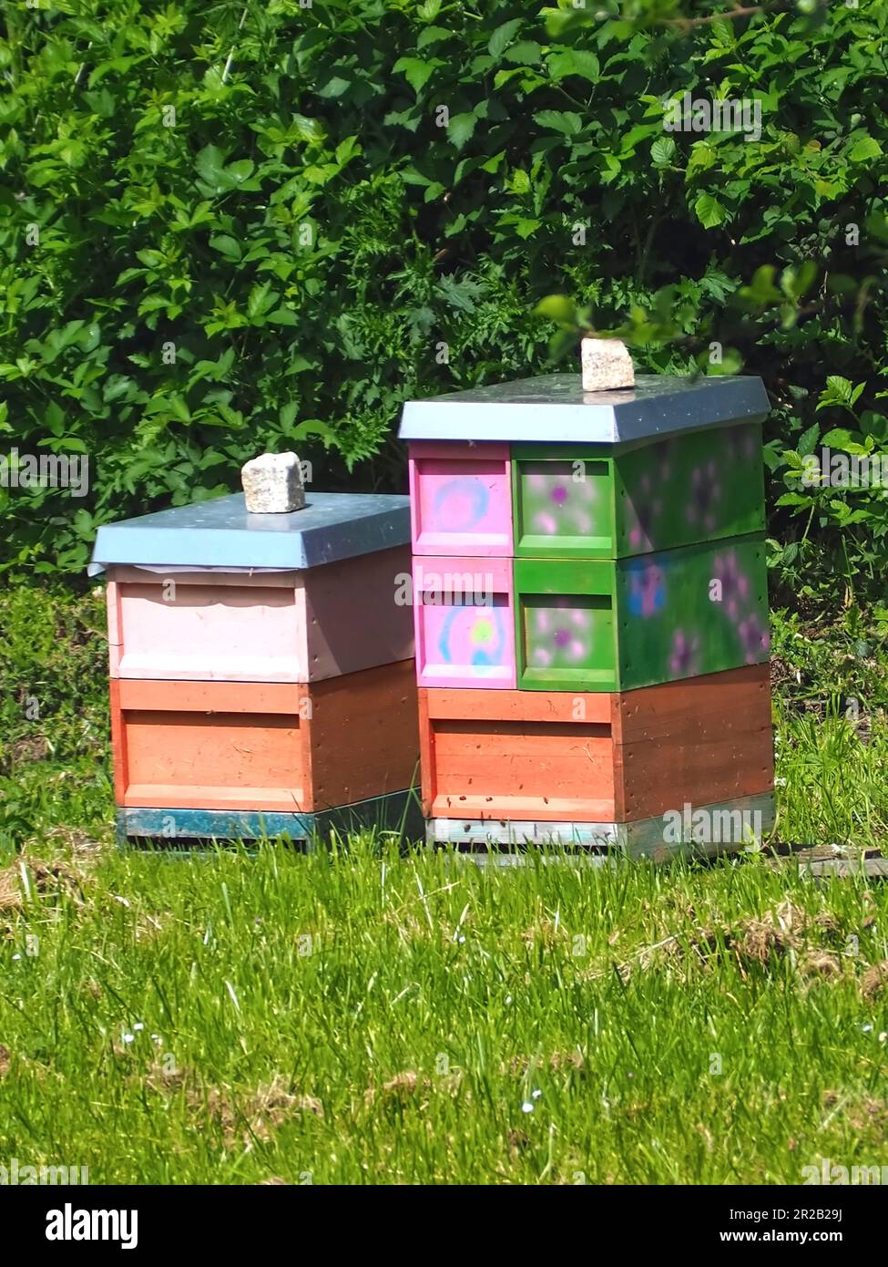 Colorful beehives on a meadow for honey bees Stock Photo - Alamy