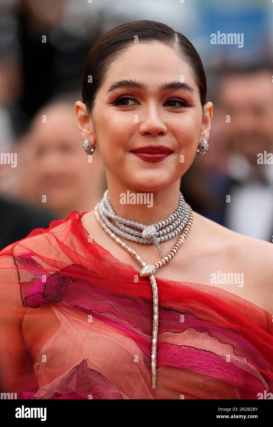 Araya A. Hargate poses for photographers upon arrival at the premiere ...