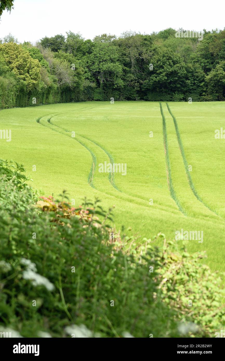 Farmland in dorset hi-res stock photography and images - Alamy