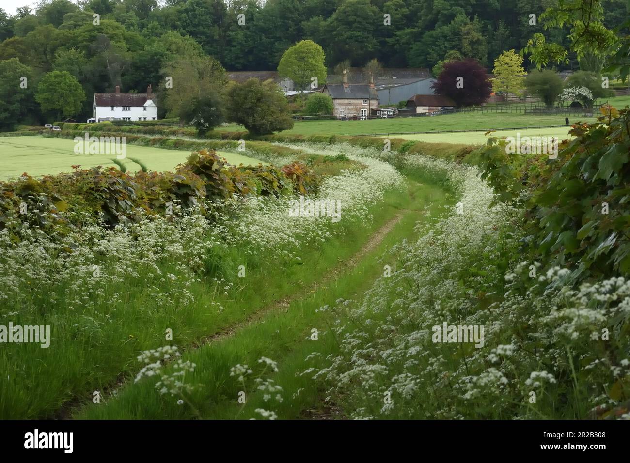Farm track road leading to a farm house Stock Photo - Alamy