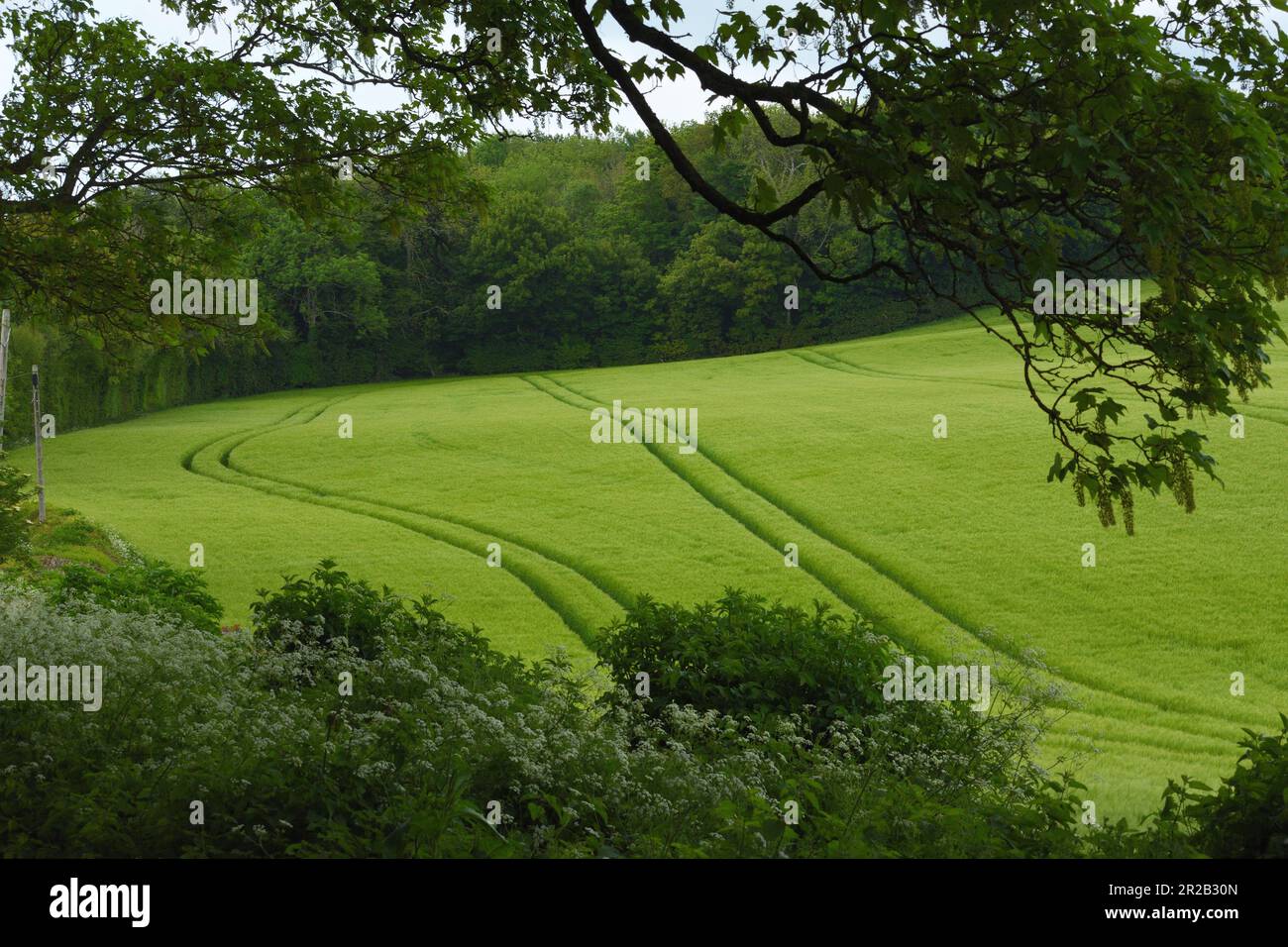 Farmland in dorset hi-res stock photography and images - Alamy
