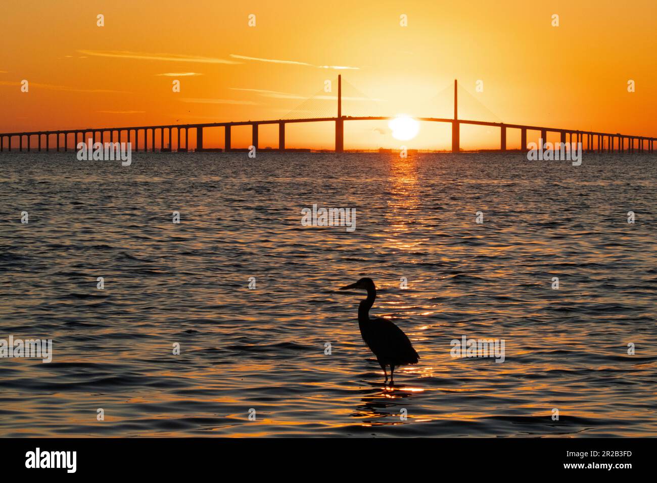Bob graham sunshine skyway hi-res stock photography and images - Alamy