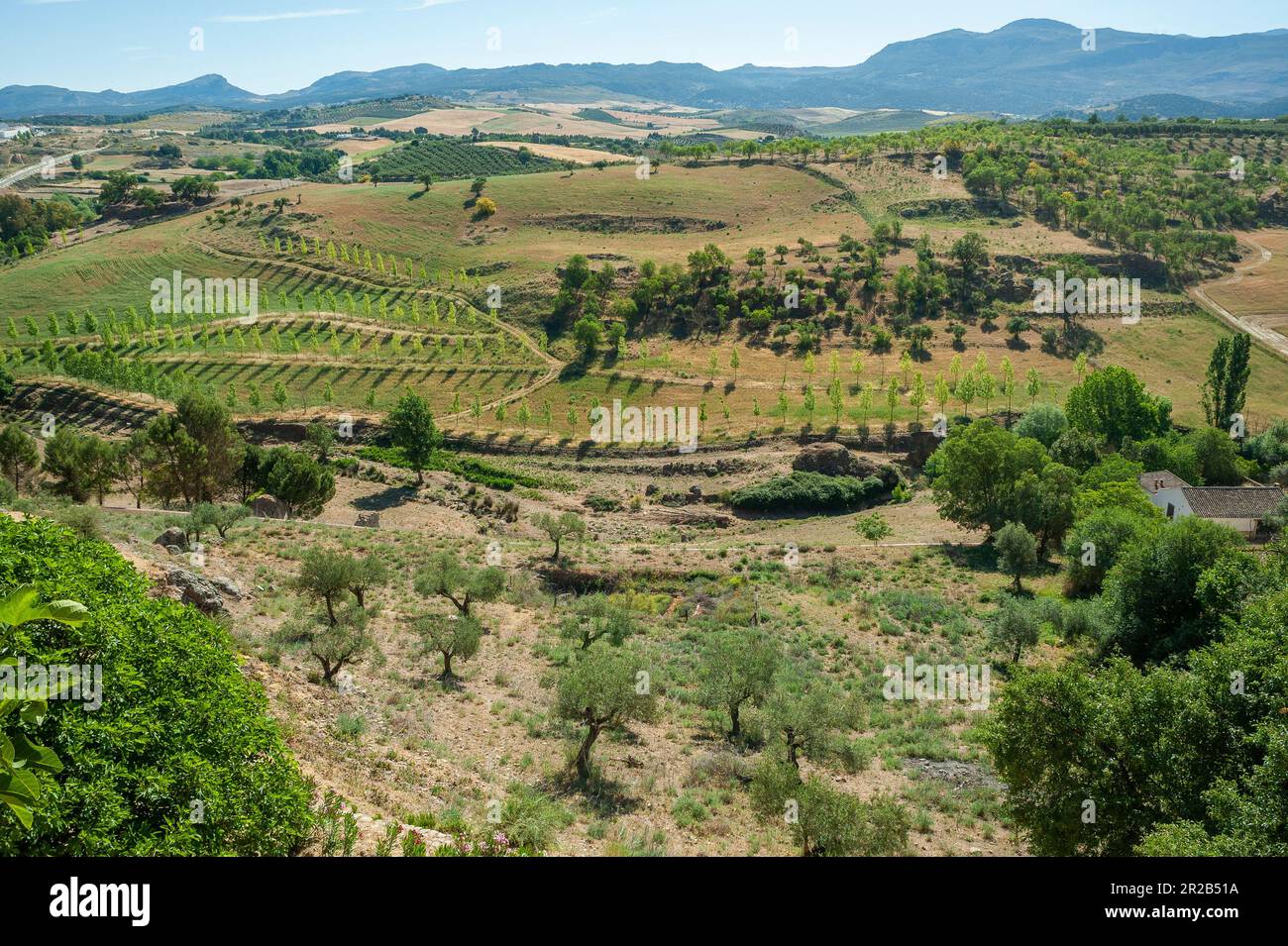 Ronda, Malaga, Spain, Dry Landscape Scenics, Mountains Serrania de ...