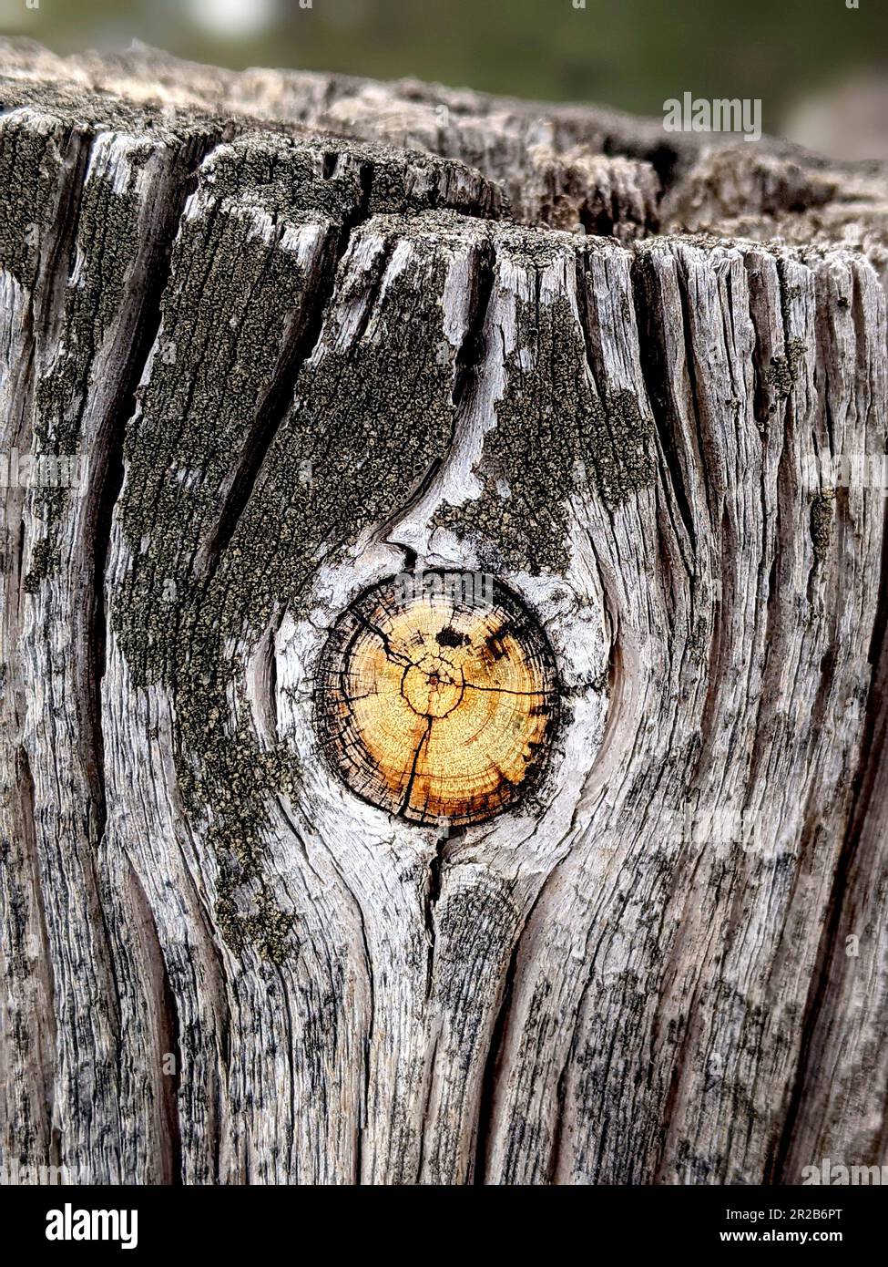 Old wooden fence post hi-res stock photography and images - Alamy