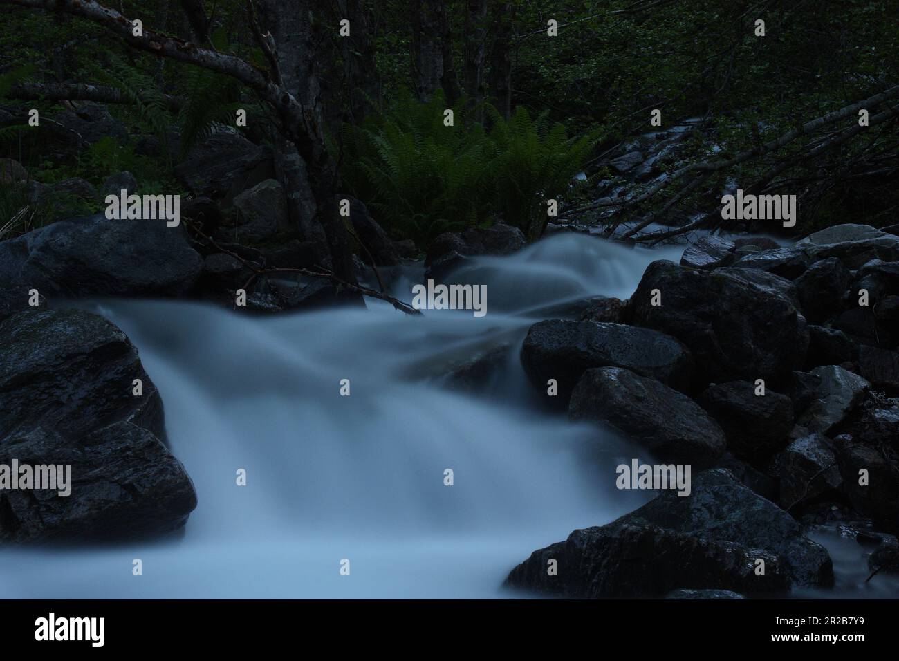 River path by river stream path by stream moody hi-res stock ...