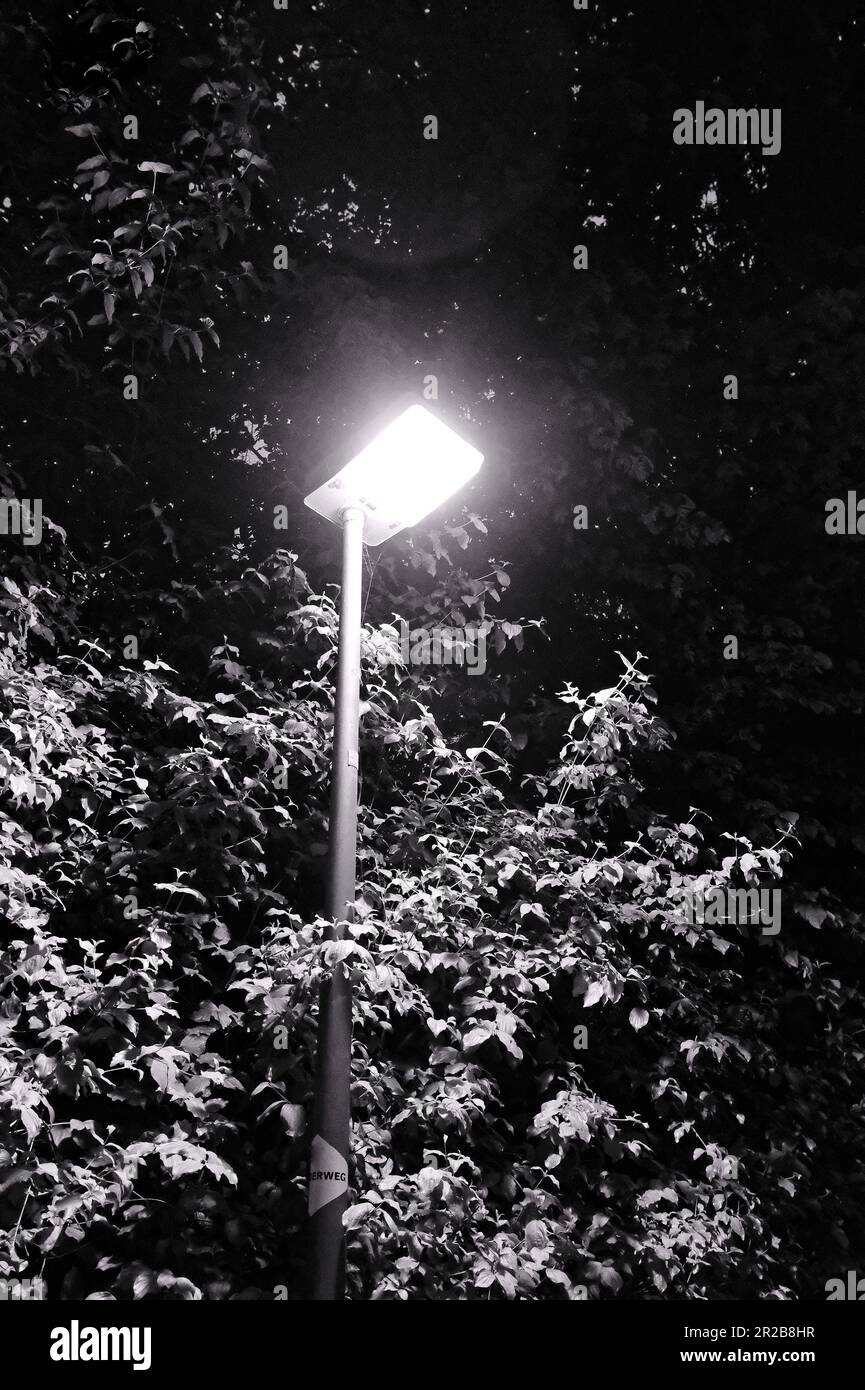 A contemporary lamp, featuring sleek lines, minimalist design, and ...