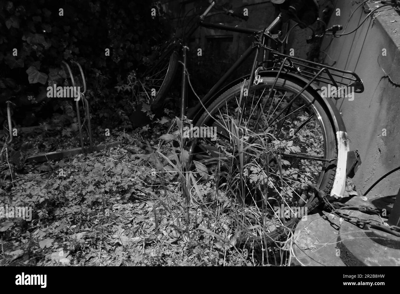 lost bicycle in alost forest environment Stock Photo - Alamy
