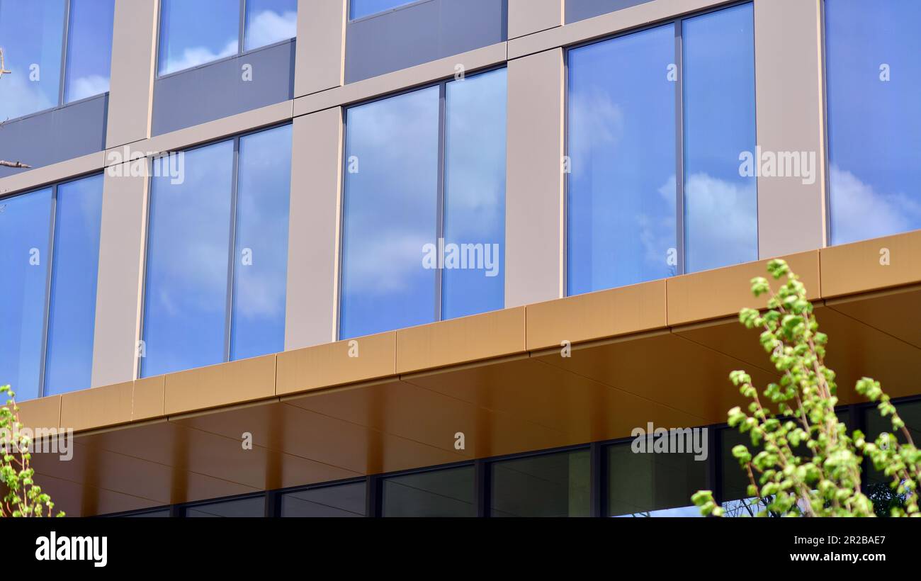 Reflection of modern commercial building on glass with sunlight. Eco architecture. Green tree ...