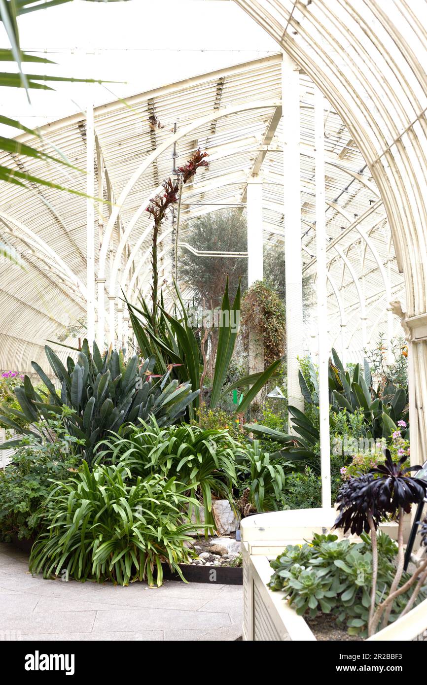 Inside one of the beautiful glasshouses at the National Botanic Gardens ...