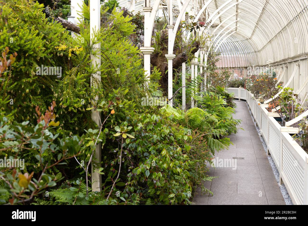 Inside one of the beautiful glasshouses at the National Botanic Gardens ...