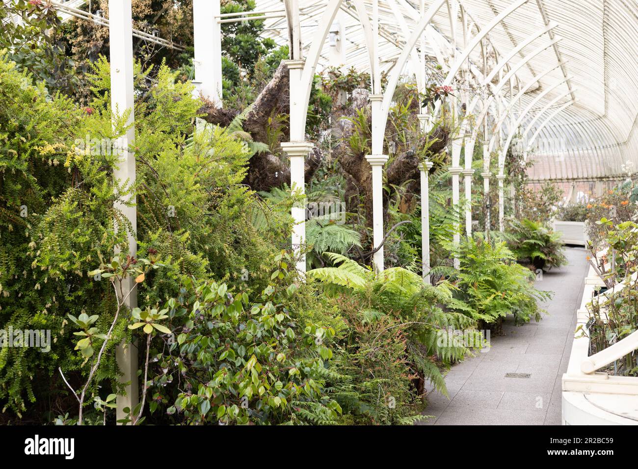 Inside one of the beautiful glasshouses at the National Botanic Gardens ...