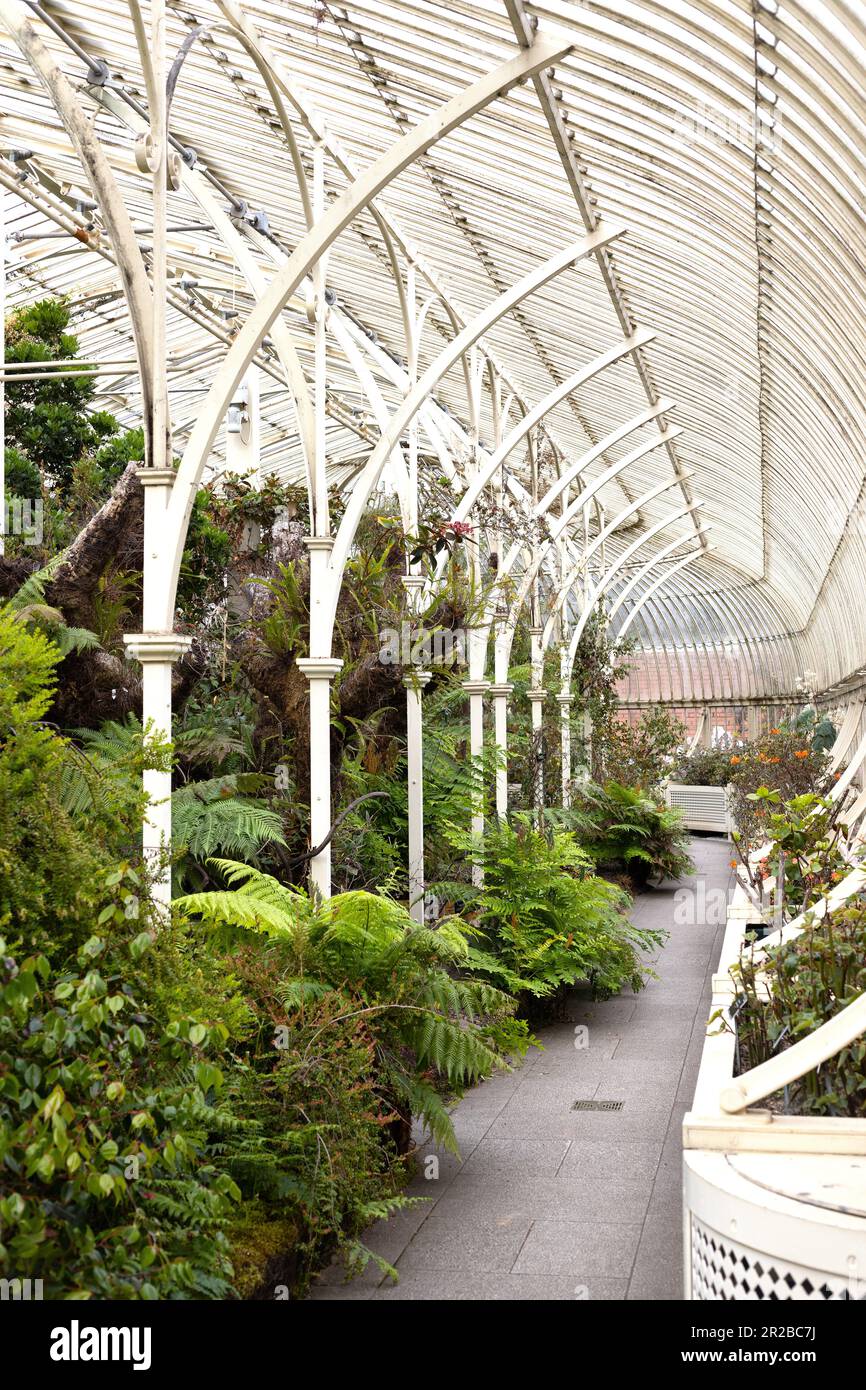 Inside one of the beautiful glasshouses at the National Botanic Gardens ...