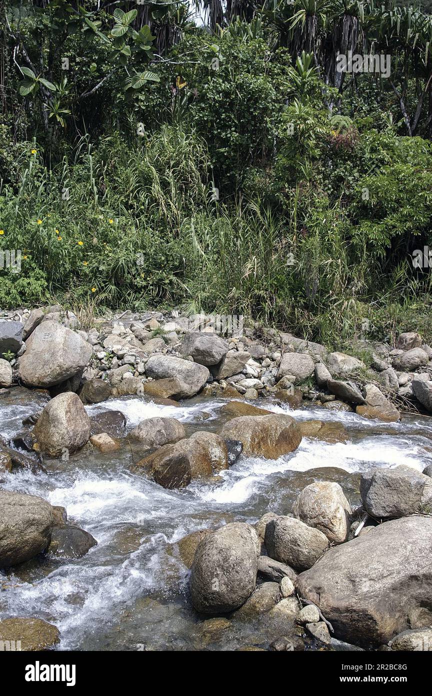 Papua New Guinea; Eastern Highlands; Goroka; A rushing mountain river ...