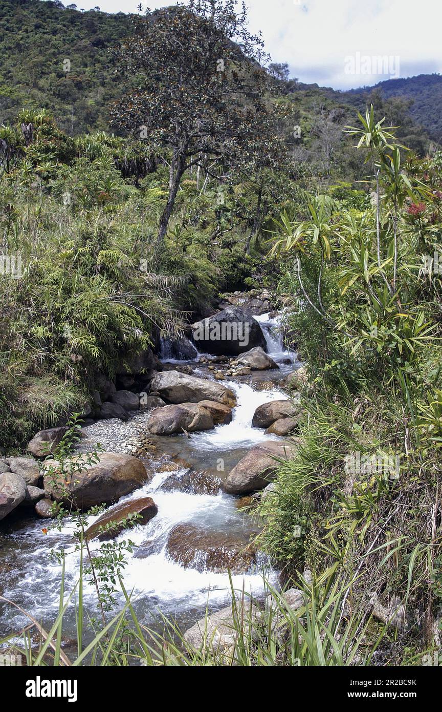 Papua New Guinea; Eastern Highlands; Goroka; A rushing mountain river ...