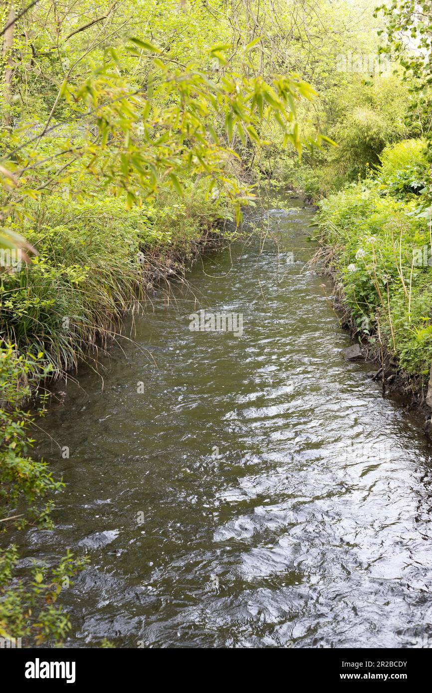 A stream at the National Botanic Gardens in Dublin, Ireland Stock Photo ...