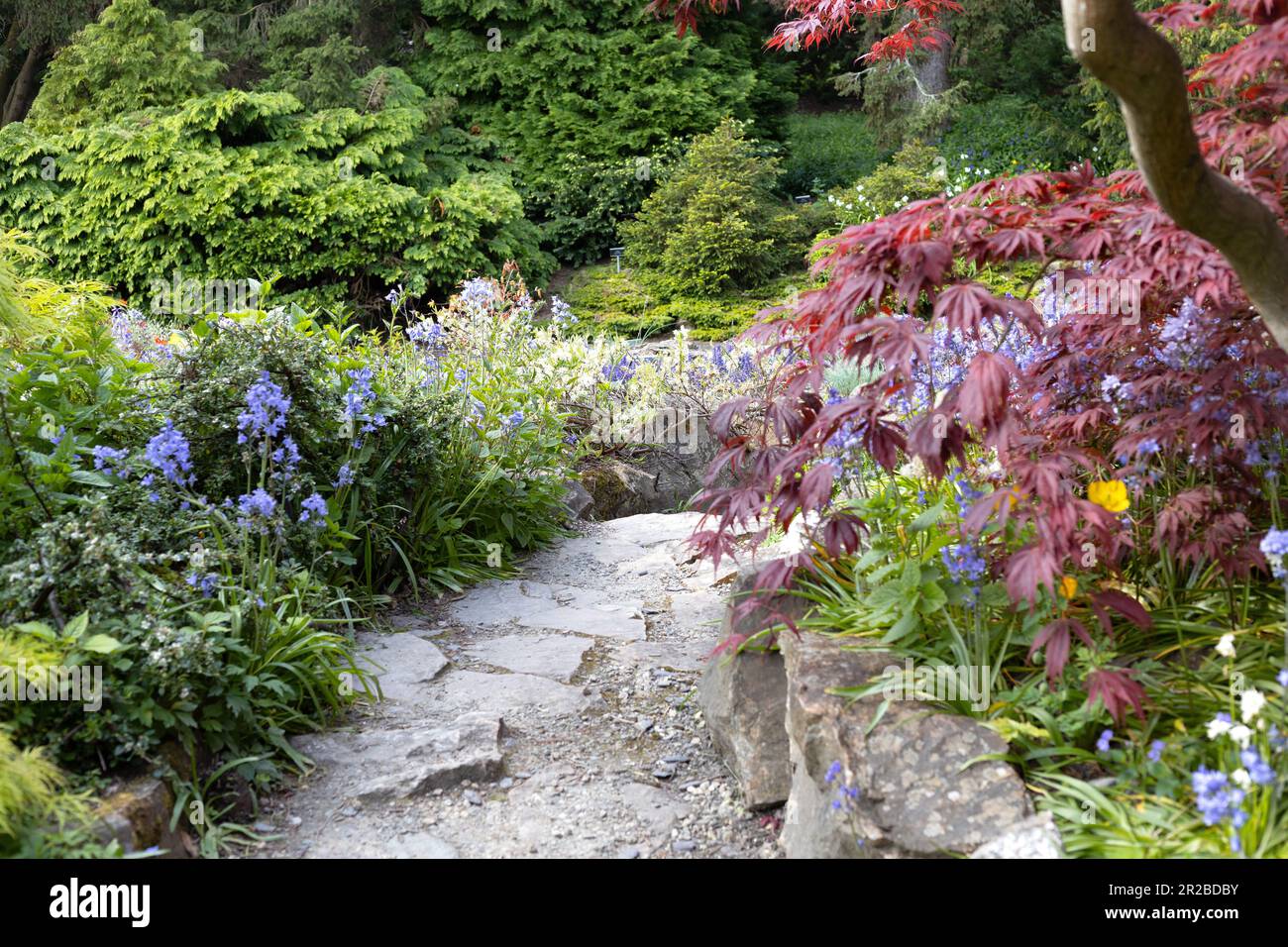 The National Botanic Gardens in Dublin, Ireland Stock Photo - Alamy