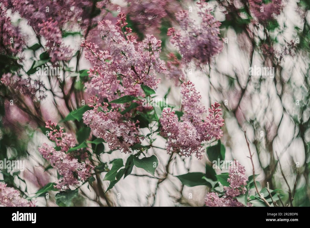 Victory yard hi-res stock photography and images - Alamy