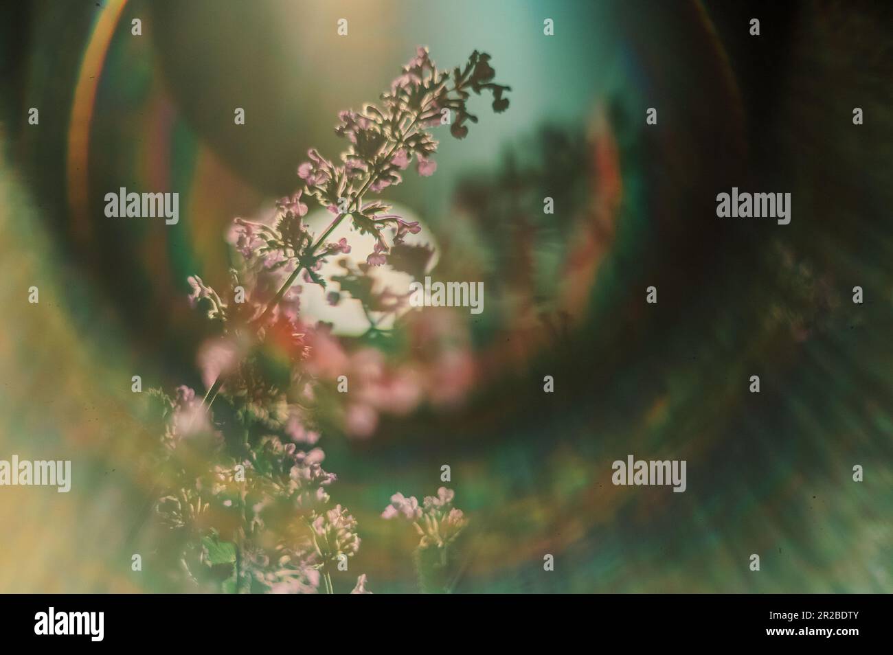 Flare picture hi-res stock photography and images - Alamy