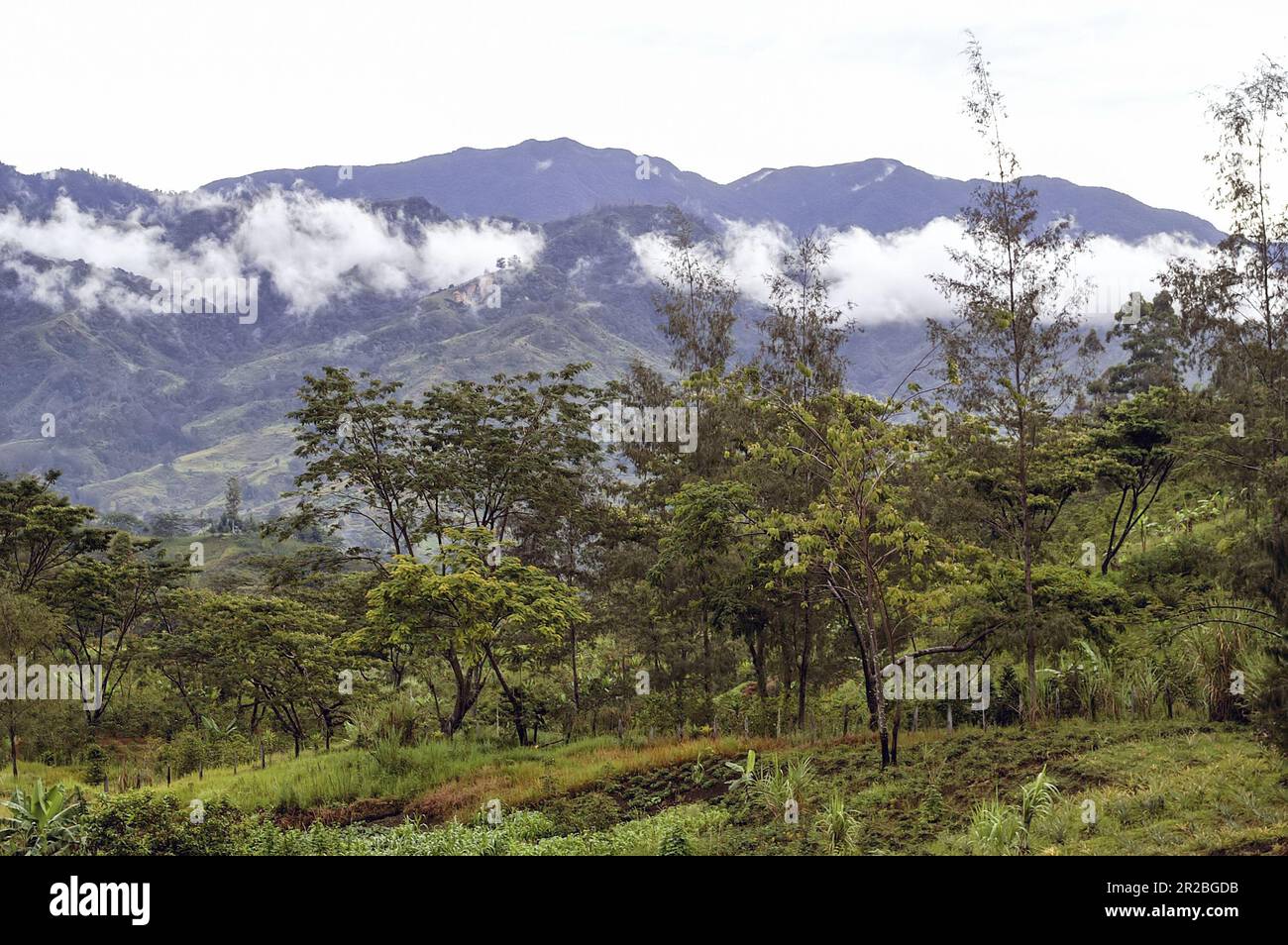 PNG Papua New Guinea Eastern Highlands Goroka typical landscape in ...