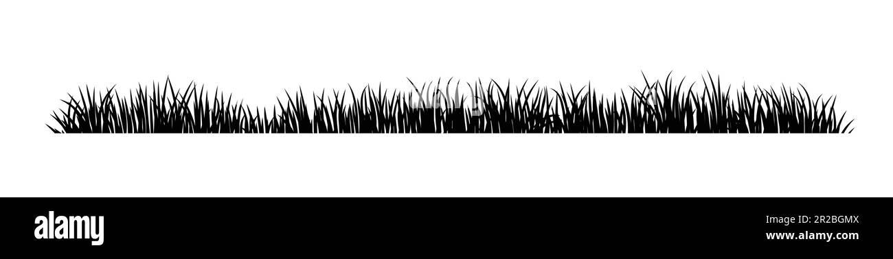 Set of Black Grass Silhouettes Isolated on White Background. Fresh herb ...