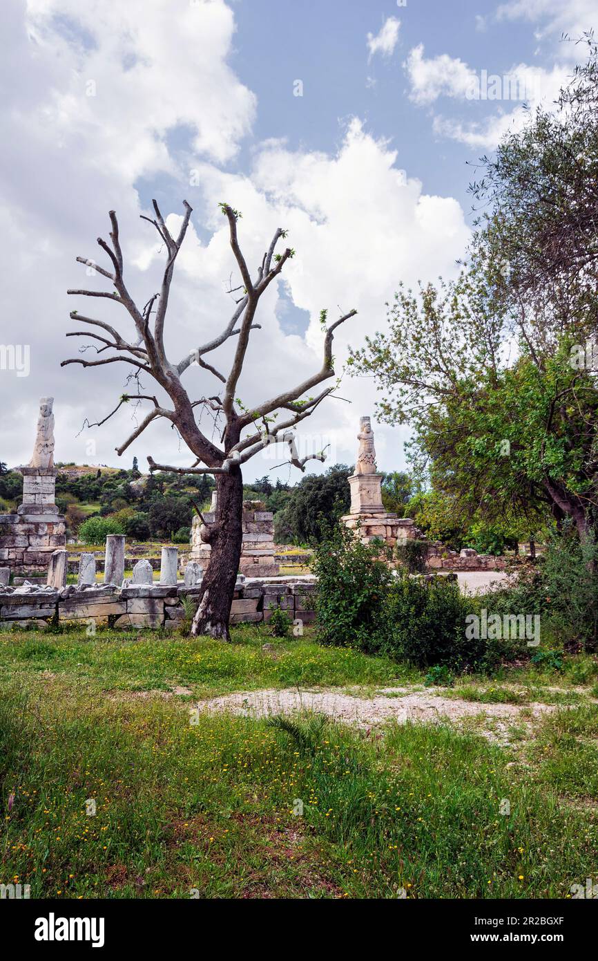 Odeon of Agrippa statues in the Ancient Agora of Athens, Greece. It is ...