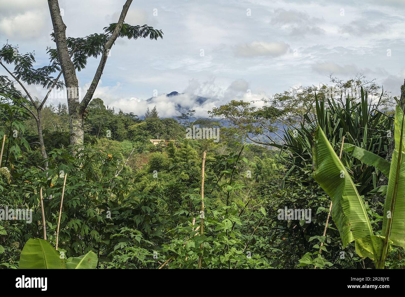 PNG Papua New Guinea Eastern Highlands Goroka typical landscape in ...