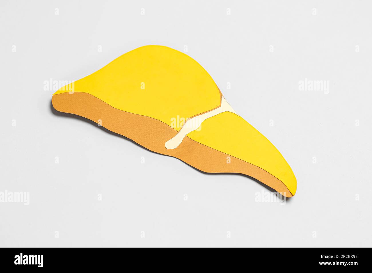 Yellow paper liver on grey background Stock Photo - Alamy