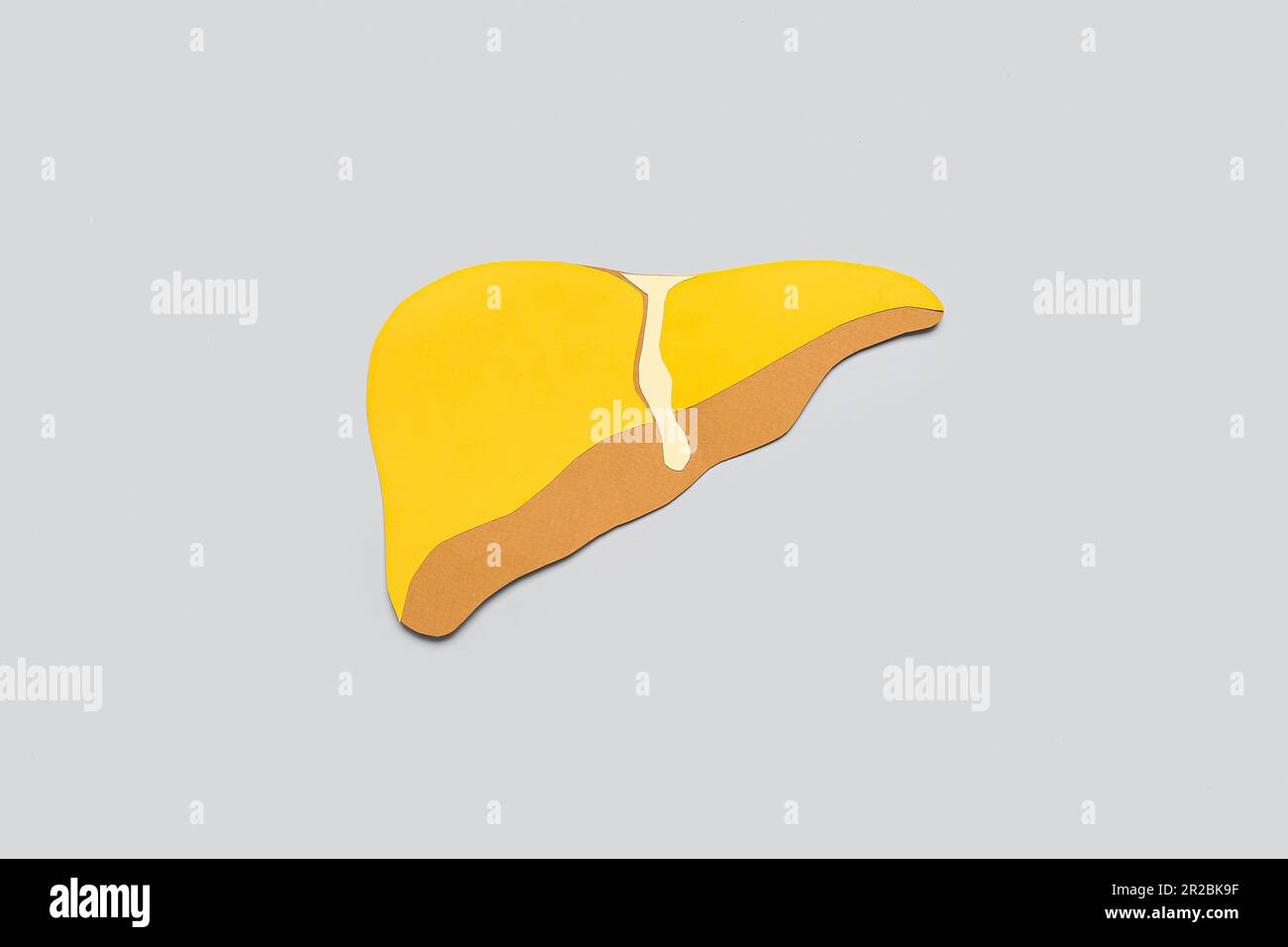 Yellow paper liver on grey background Stock Photo - Alamy
