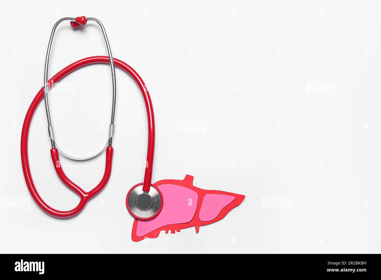Pink paper liver with stethoscope on white background Stock Photo - Alamy
