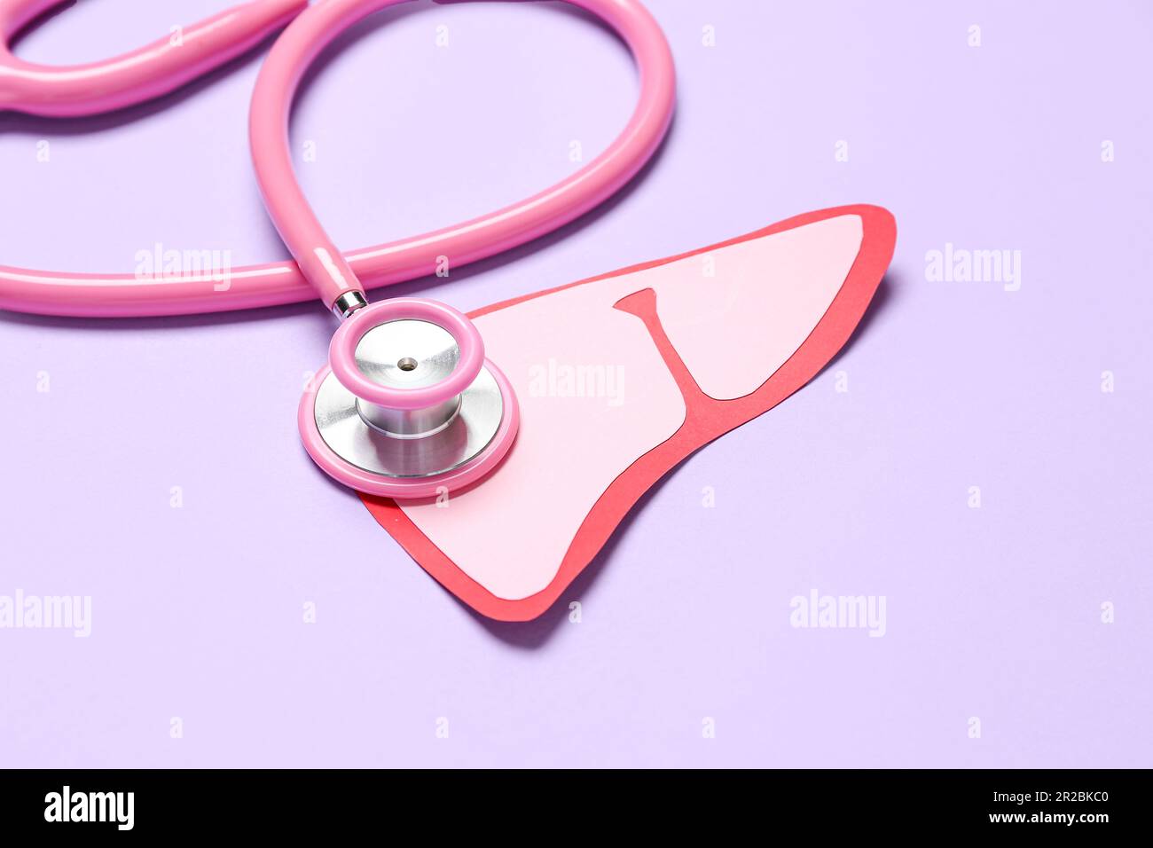 Pink paper liver with stethoscope on lilac background Stock Photo - Alamy