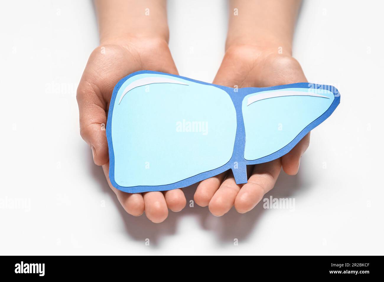 Female hands holding blue paper liver on white background Stock Photo ...