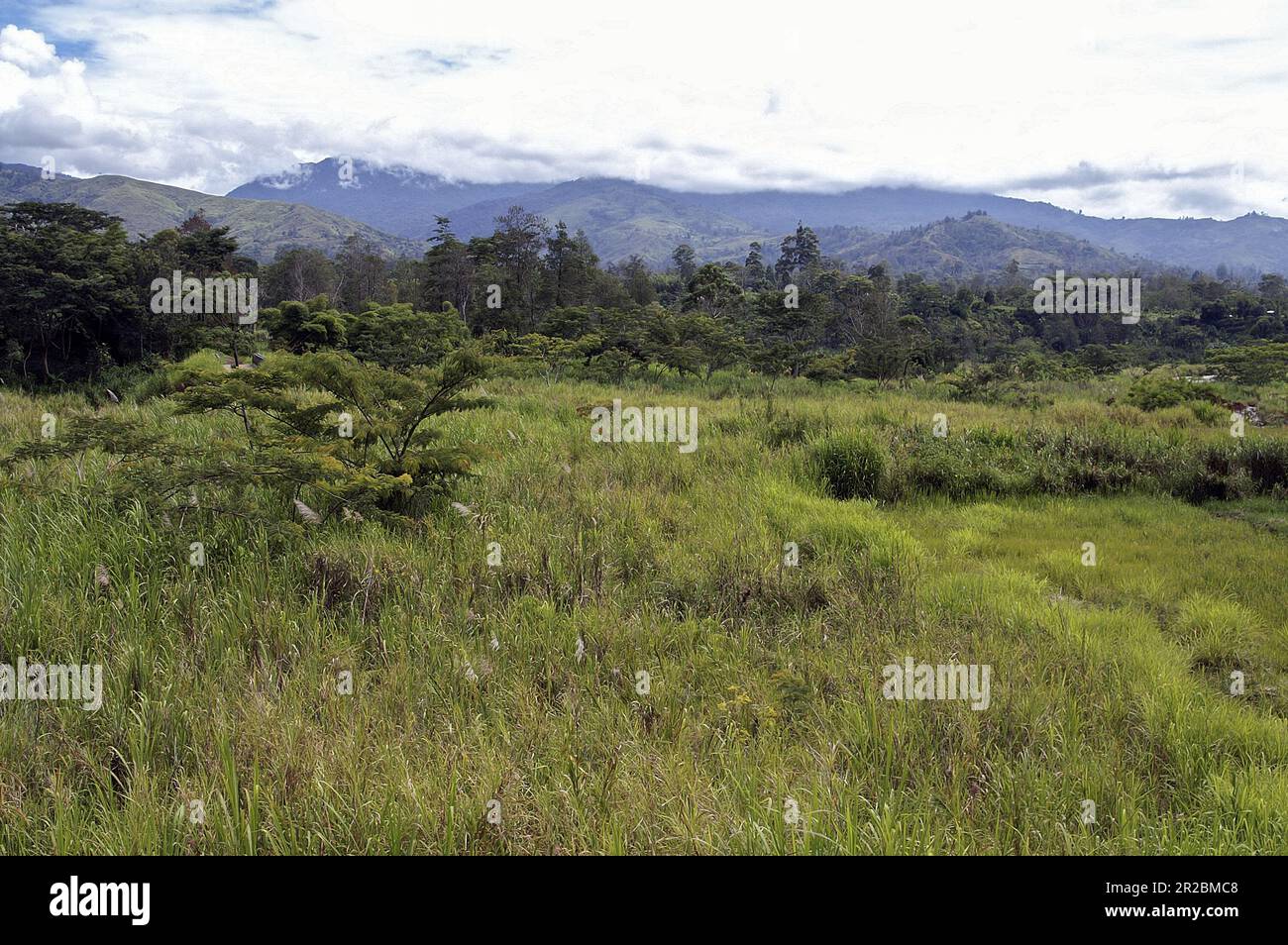 PNG Papua New Guinea Eastern Highlands Goroka typical landscape in ...