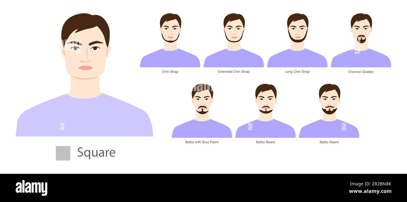 Set of Beard style for Square face shape and mustache men illustration ...