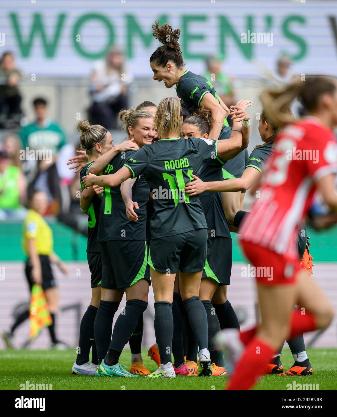 Dominique lucky hi-res stock photography and images - Alamy