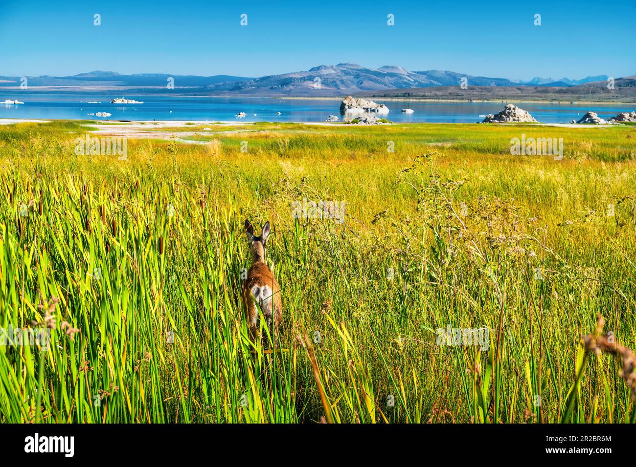 Mono landscape hi-res stock photography and images - Alamy