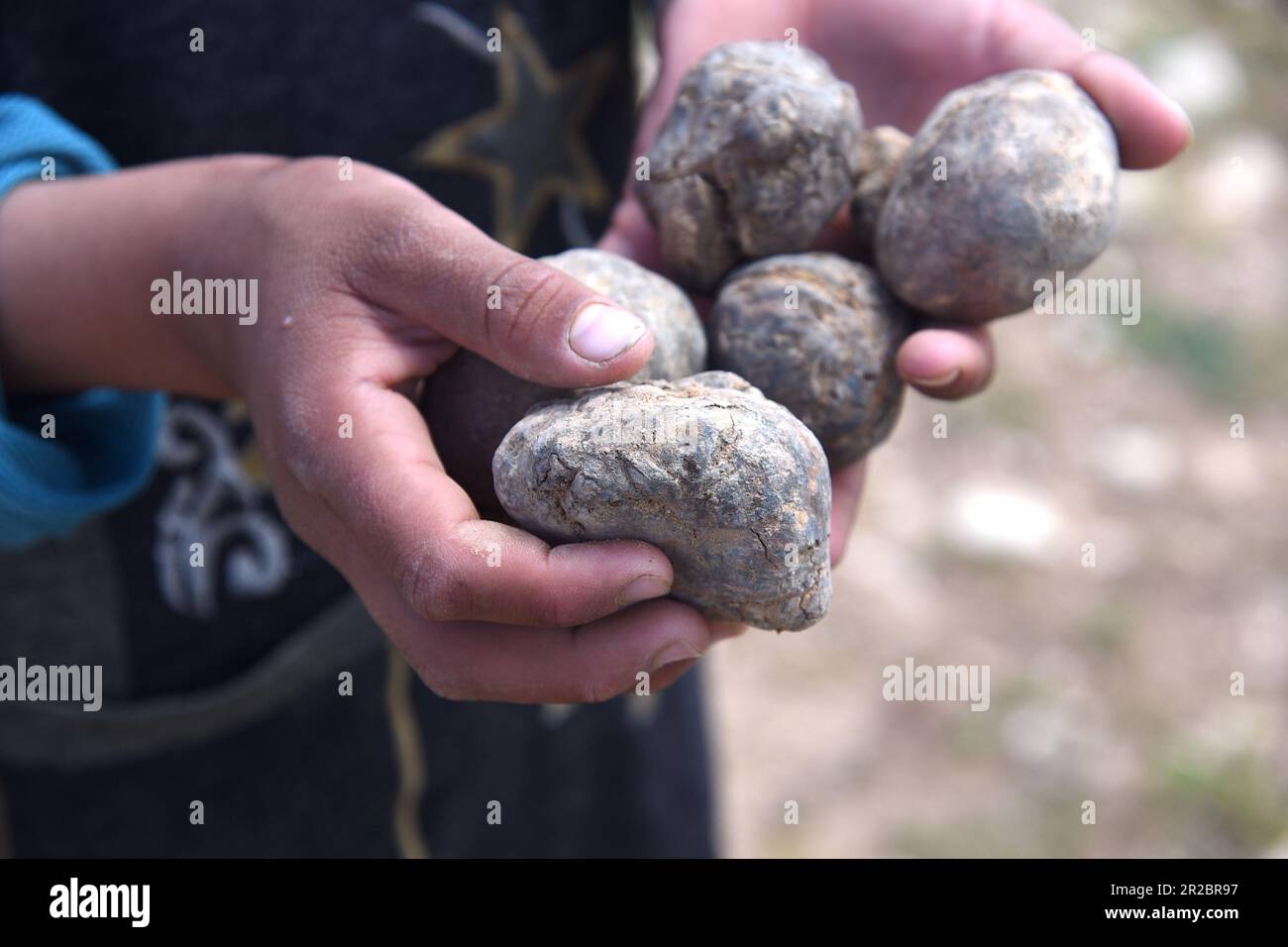 May crunch hi-res stock photography and images - Alamy