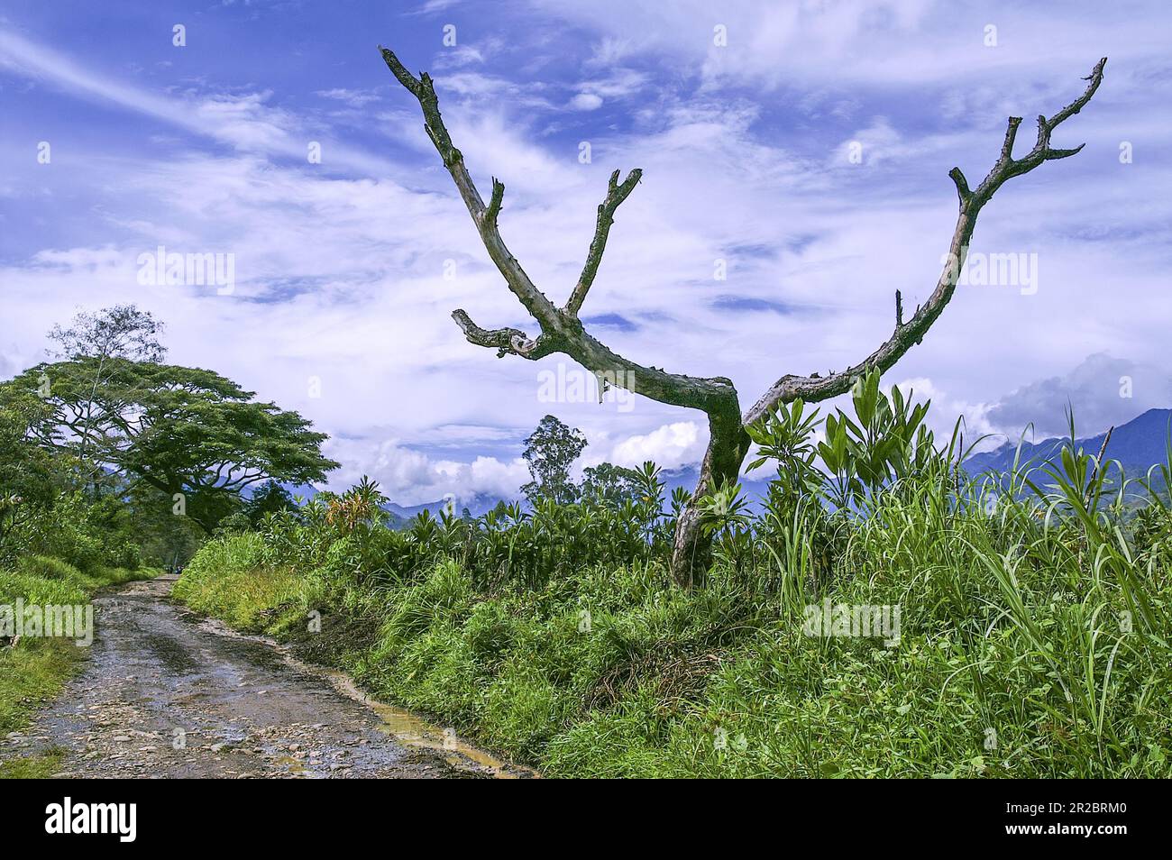 Paisaje tipico de papua hi-res stock photography and images - Alamy
