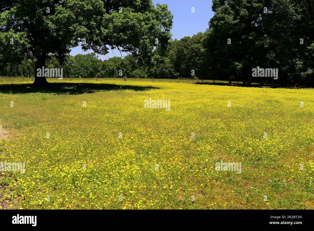 Rural flower field old house hi-res stock photography and images - Alamy
