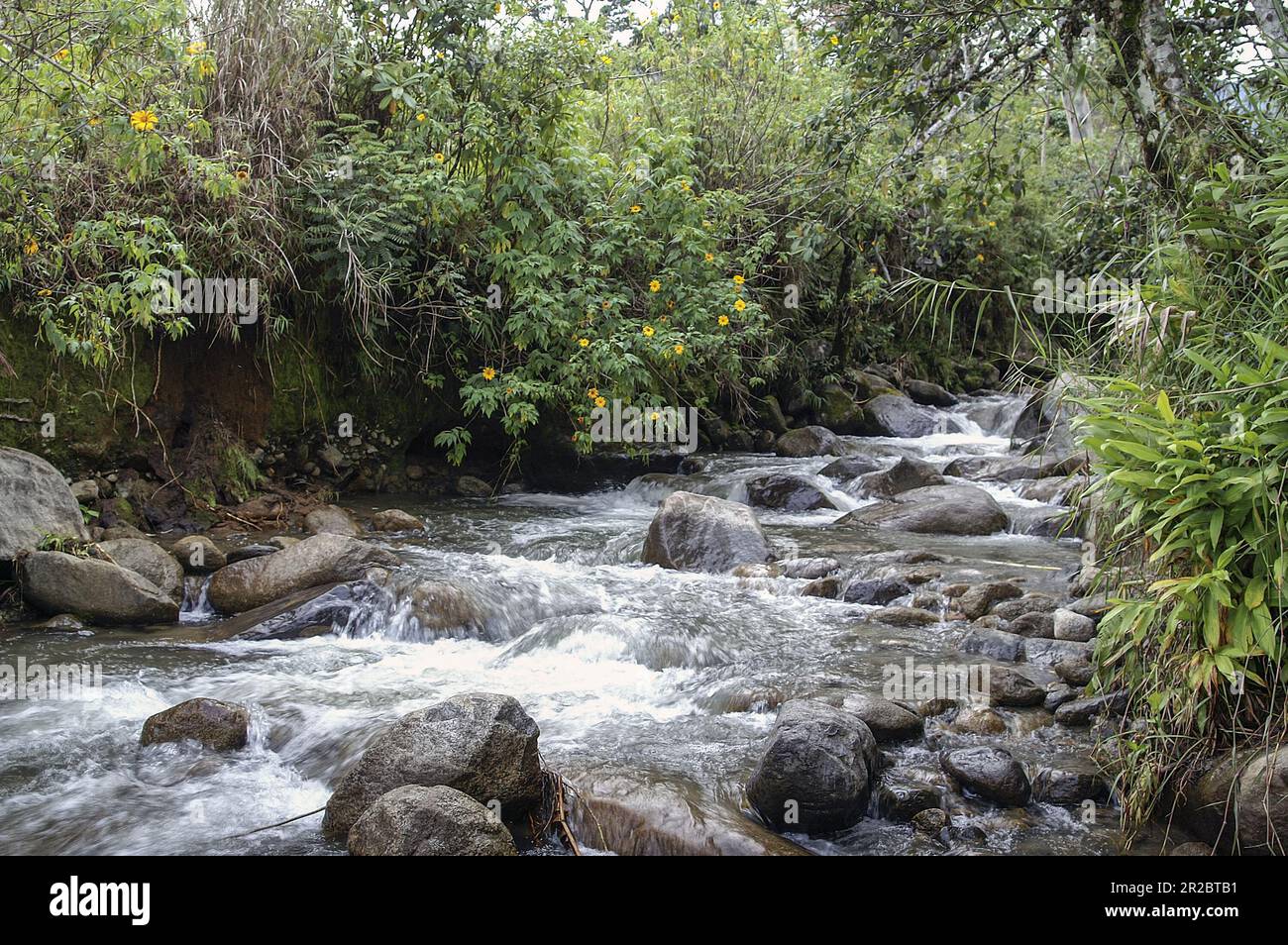 Papua New Guinea; Eastern Highlands; Goroka; A rushing mountain river ...