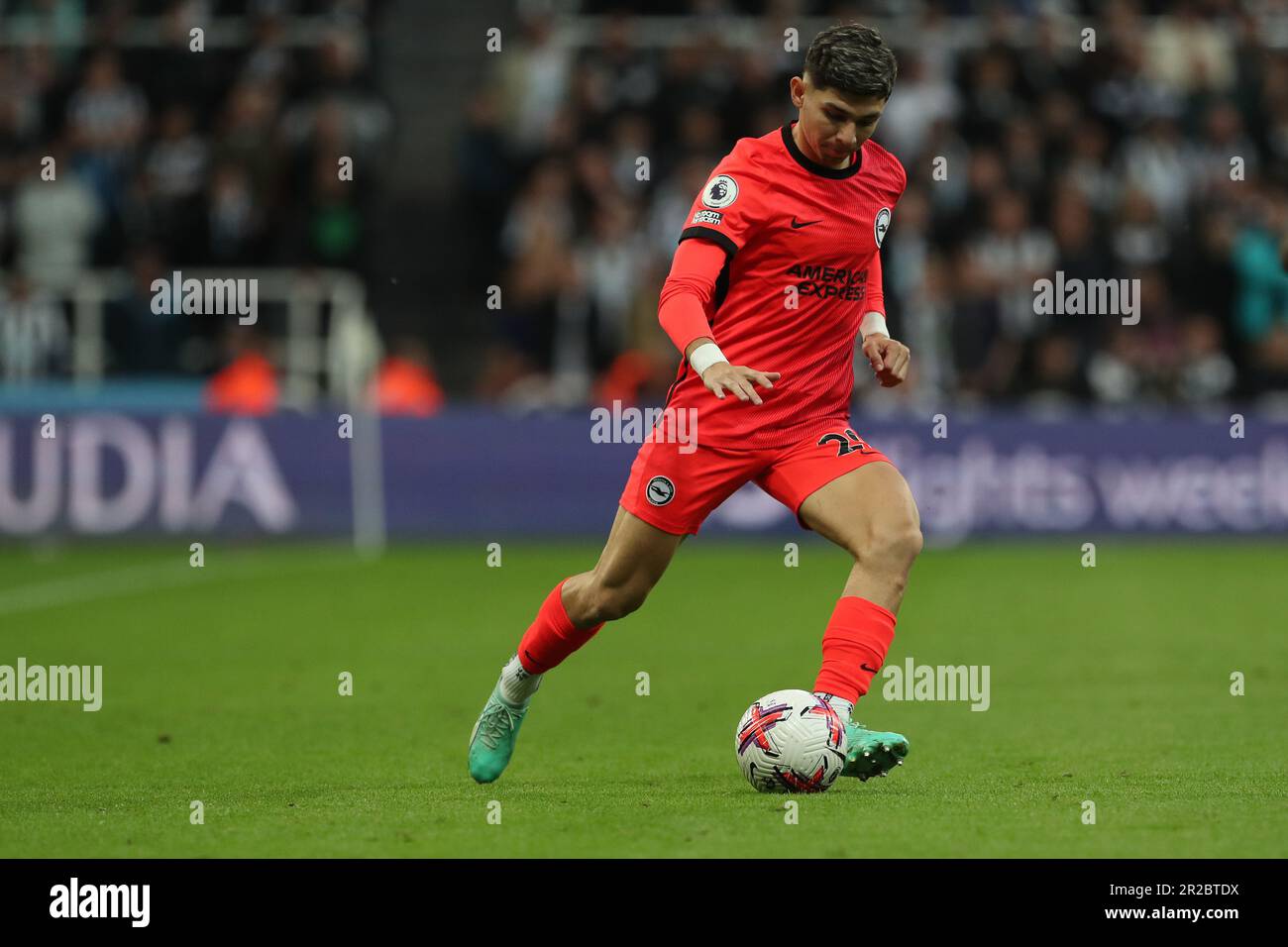 Enciso 2023 hi-res stock photography and images - Alamy