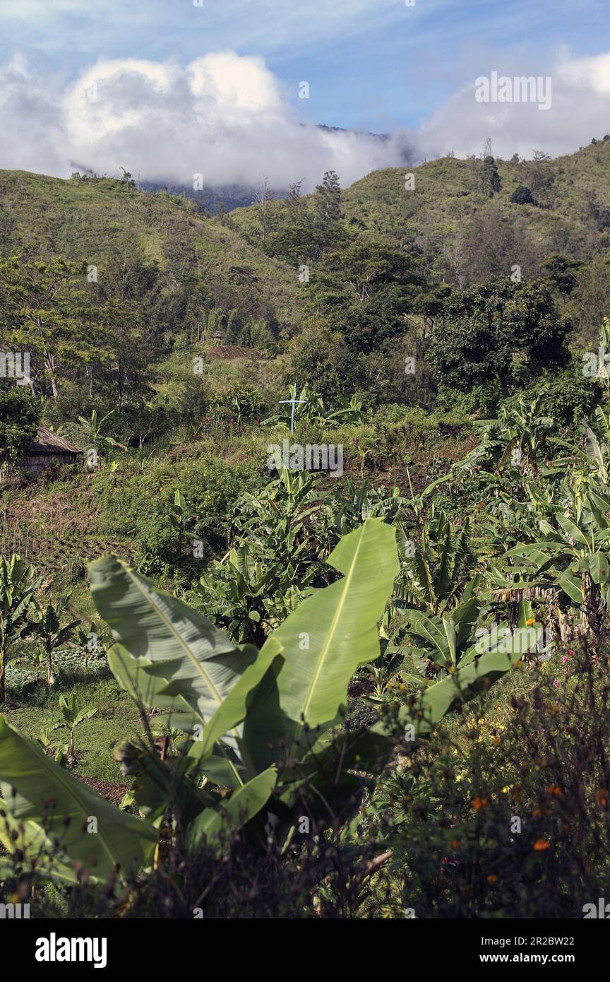 PNG Papua New Guinea Eastern Highlands Goroka typical landscape in ...