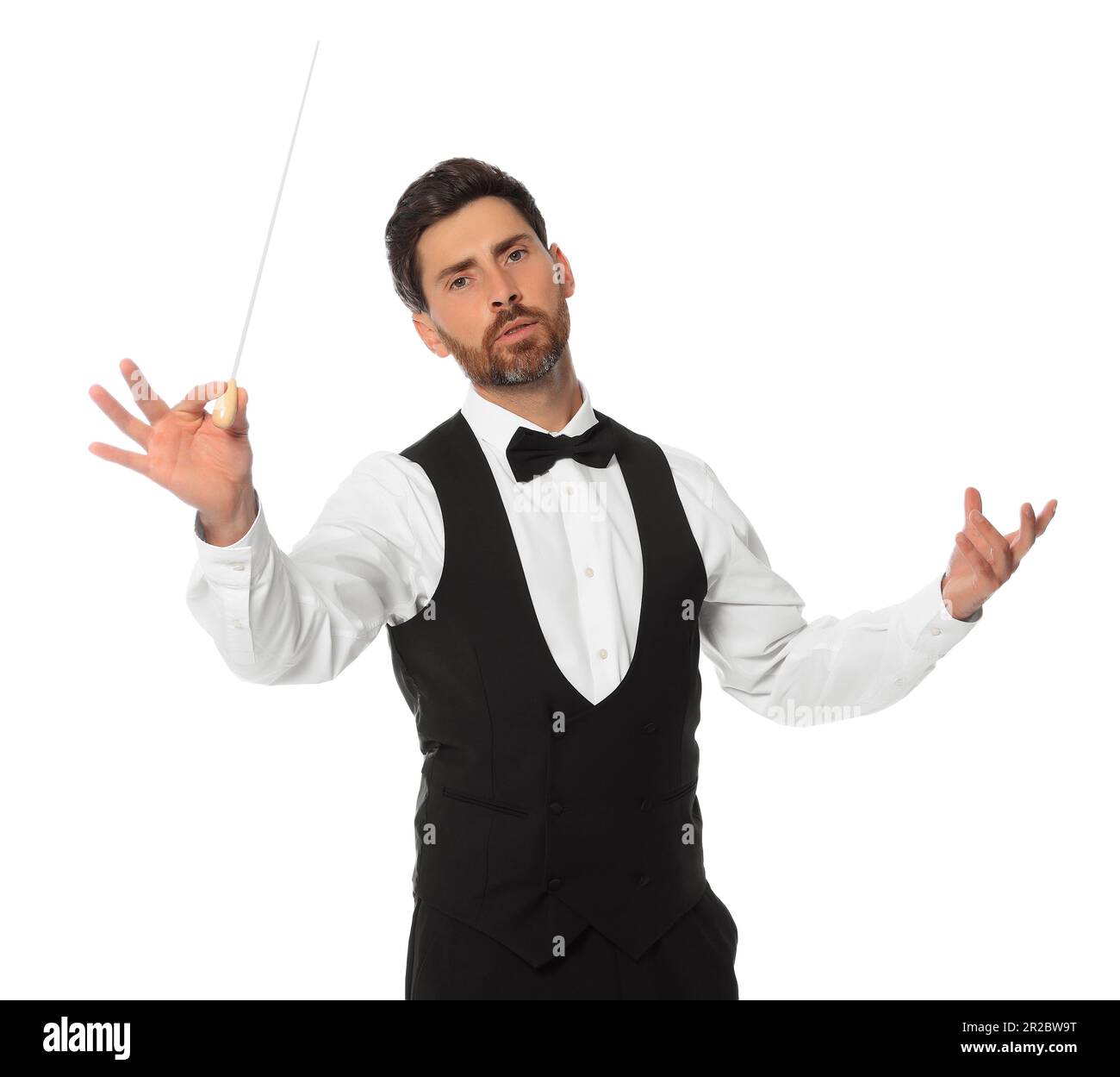 Professional conductor with baton on white background Stock Photo - Alamy