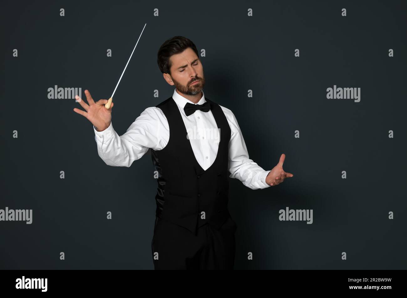 Professional conductor with baton on grey background Stock Photo - Alamy