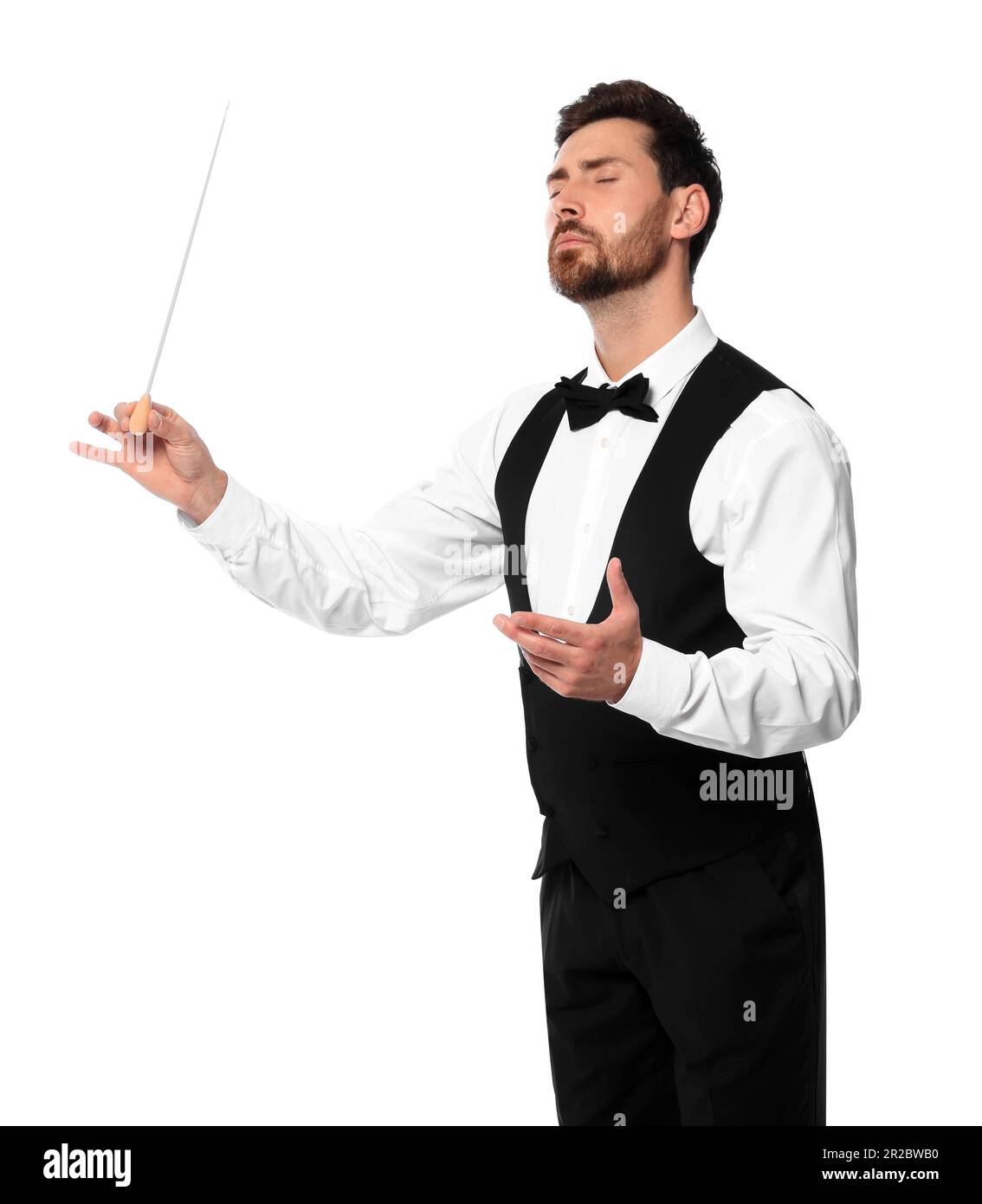 Professional conductor with baton on white background Stock Photo - Alamy